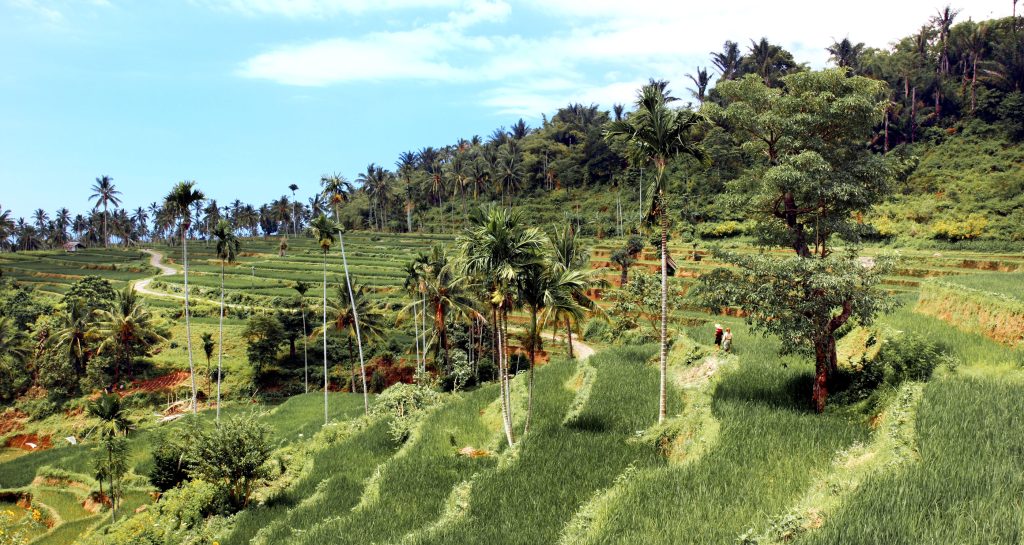 Senaru - THE LOMBOK GUIDE